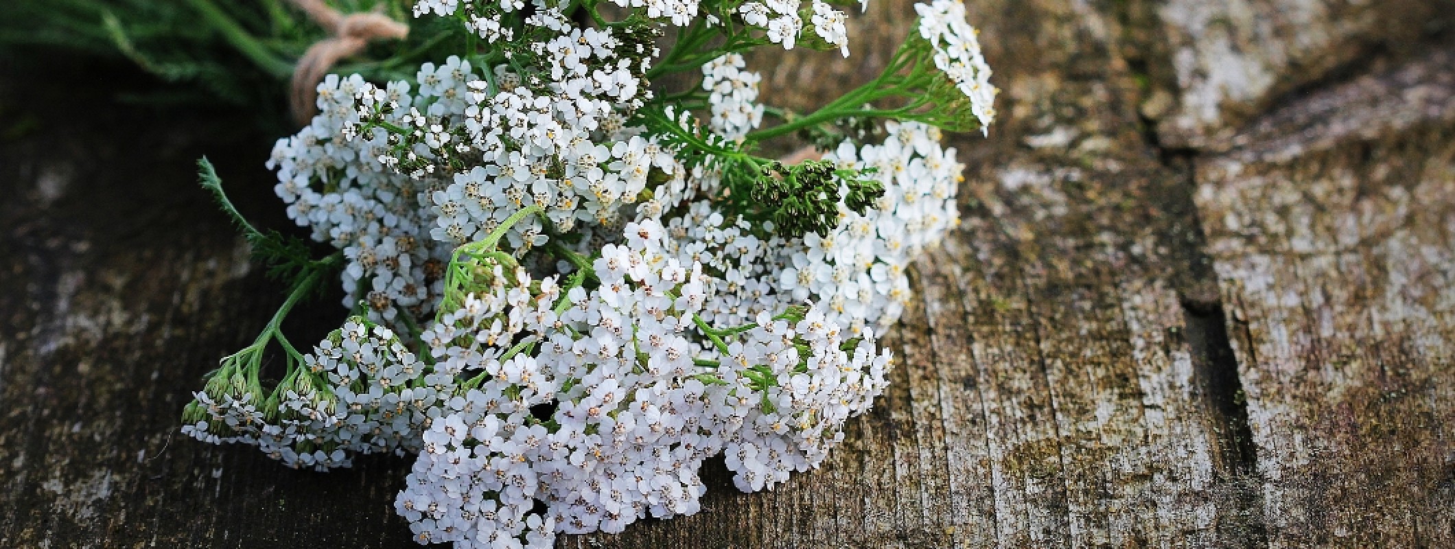 ᐉ Jak Rozpoznat a Léčit Vnitřní Hemoroidy? - Benepura.cz
